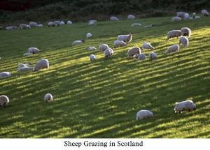 Questions with Jon Zens